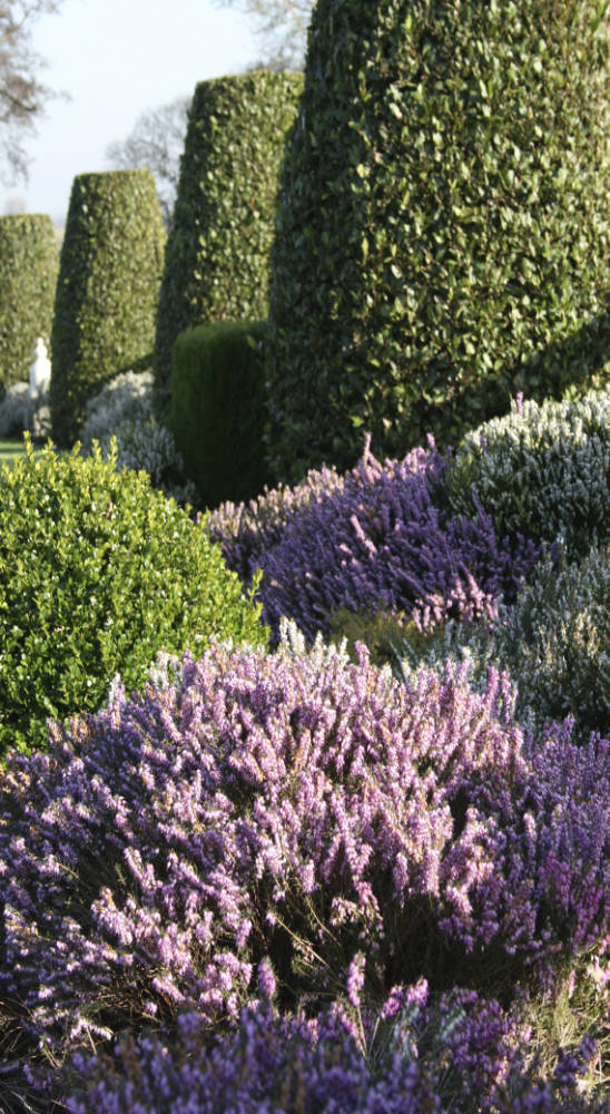 Contact Evergreen Wales Cardiff - Landscape Gardeners Cardiff